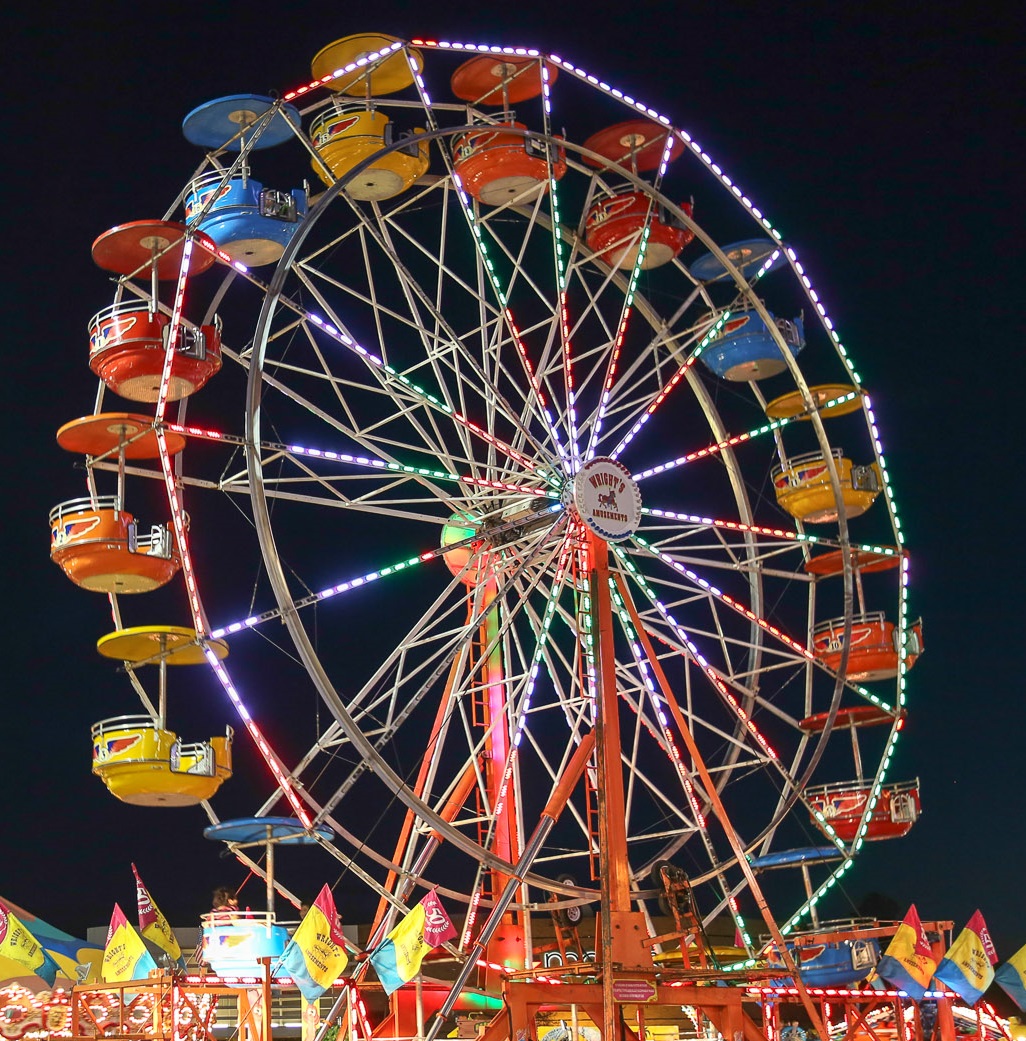 Anthropology Spring Fest! | Department of Anthropology