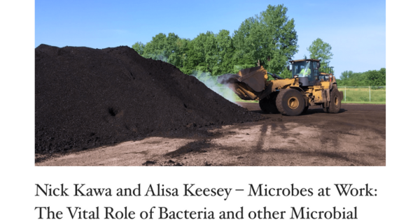 Microbes at Work: The Vital Role of Bacteria and other Microbial Life ...